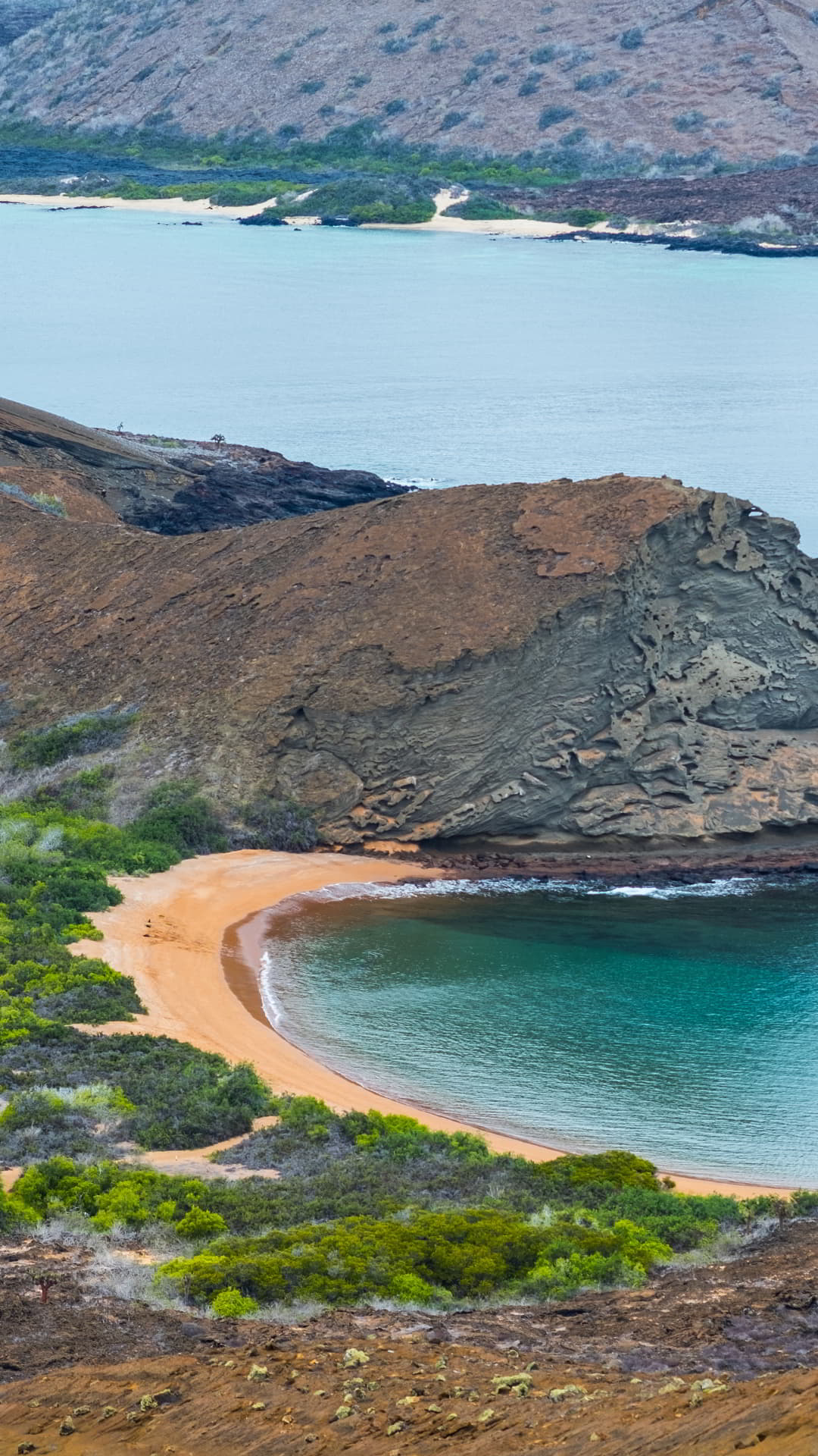 Inicio | Travelsonline